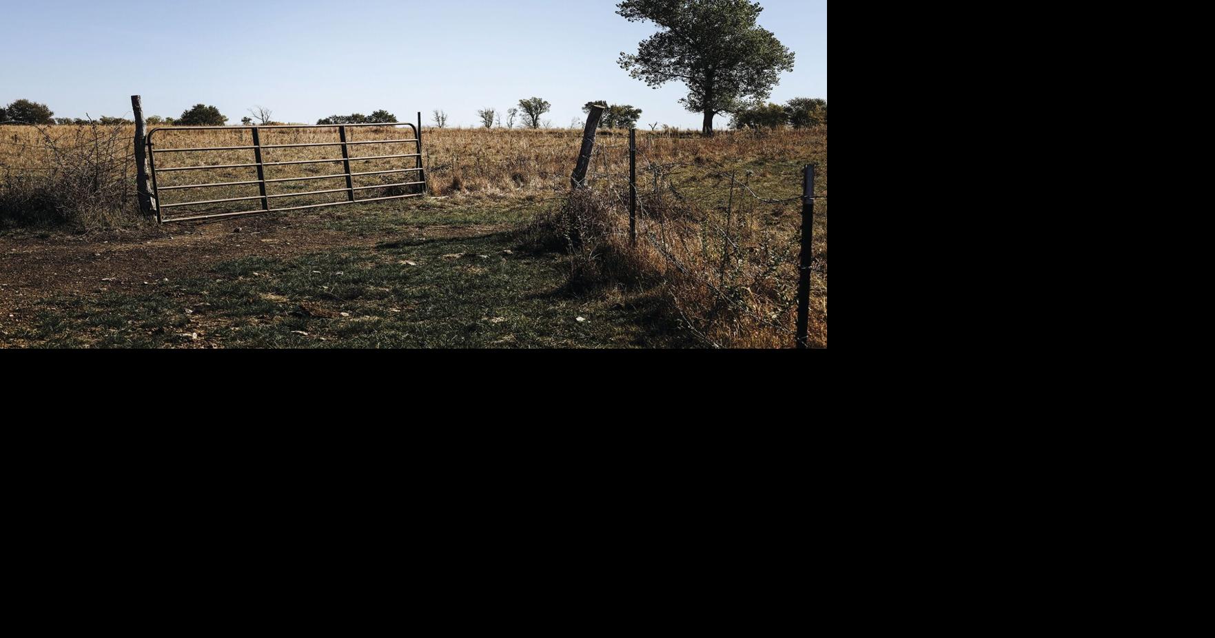 Missouri farmland, hunting cash rental rate insights | News ...