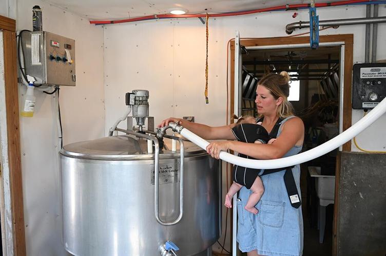 A raw milk revival: How rising demand is met by one family farm | News ...