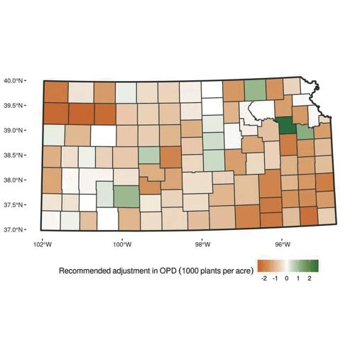 Adjust corn plant density for the coming 2022 season | News ...