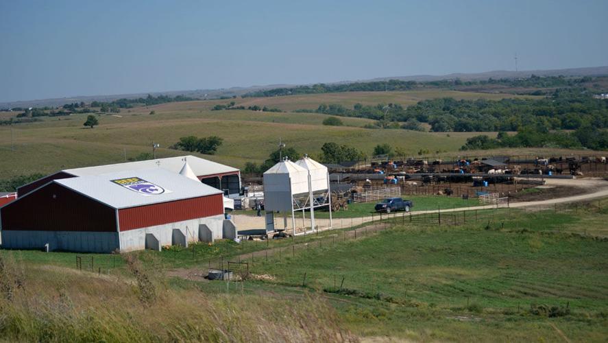 2013 K-State Beef Stocker Days | News | farmtalknews.com