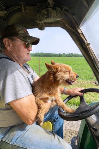 Hangin’ a gate | News | farmtalknews.com