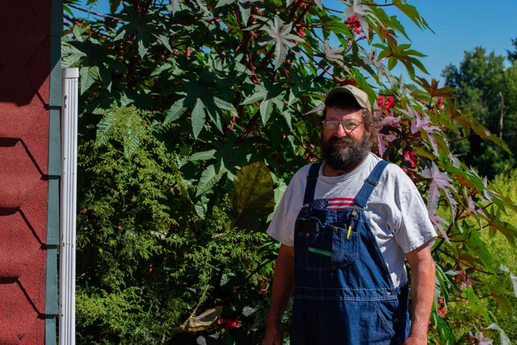 Springfield produce grower brings a taste of country life to the city ...