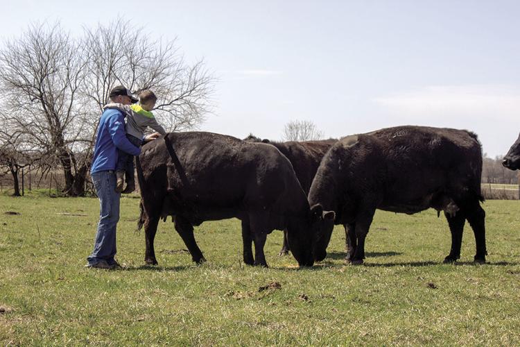 Gleonda Angus Farms makes real-world data a top priority | News ...