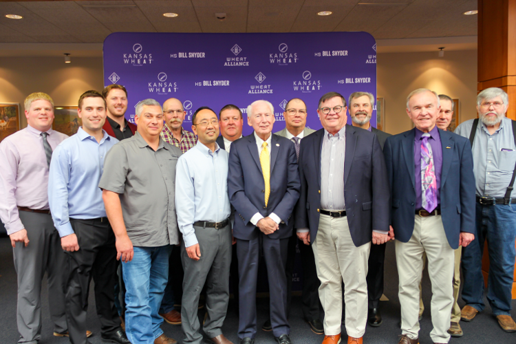 Two new K-State wheat varieties available to farmers this fall | News ...