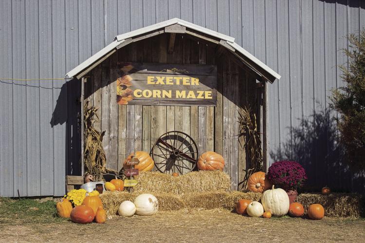 Exeter Corn Maze provides farm-themed family fun | News | farmtalknews.com