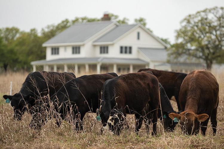 Who will take over the ranch? | News | farmtalknews.com