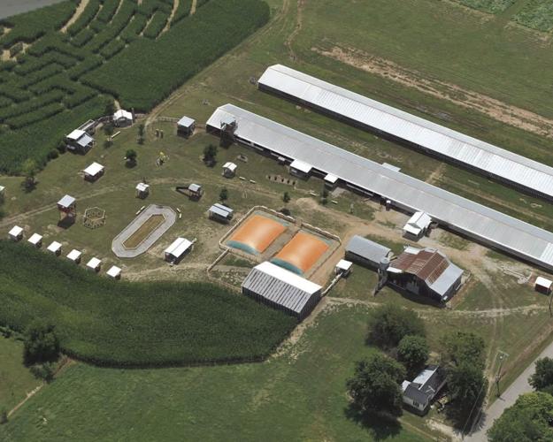 Exeter Corn Maze provides farm-themed family fun | News | farmtalknews.com