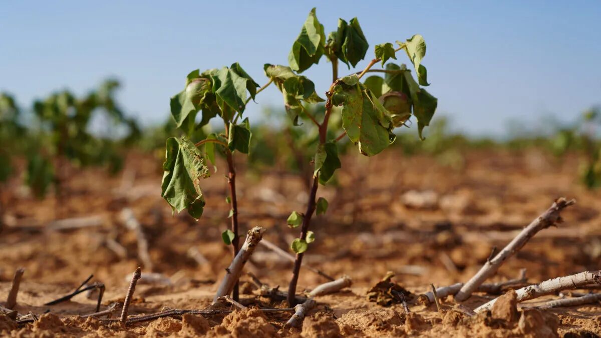 USDA reminds producers of spring/fall application deadlines for ...