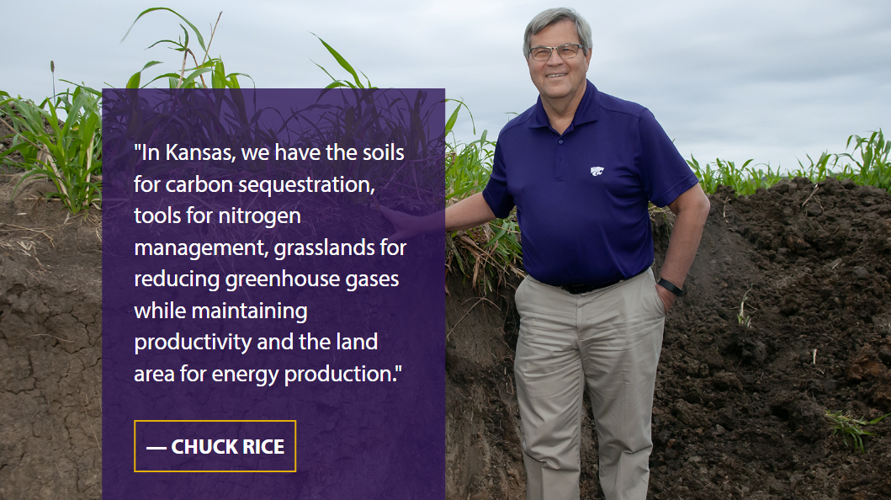 Kansas has potential to be more than green | News | farmtalknews.com