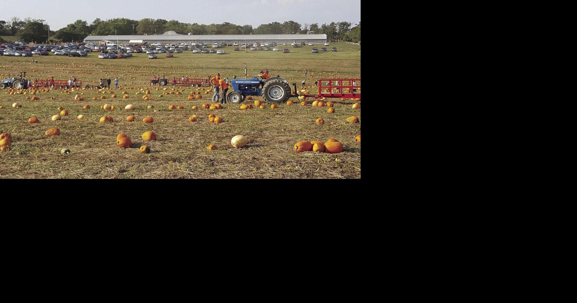 Exeter Corn Maze provides farm-themed family fun | News | farmtalknews.com