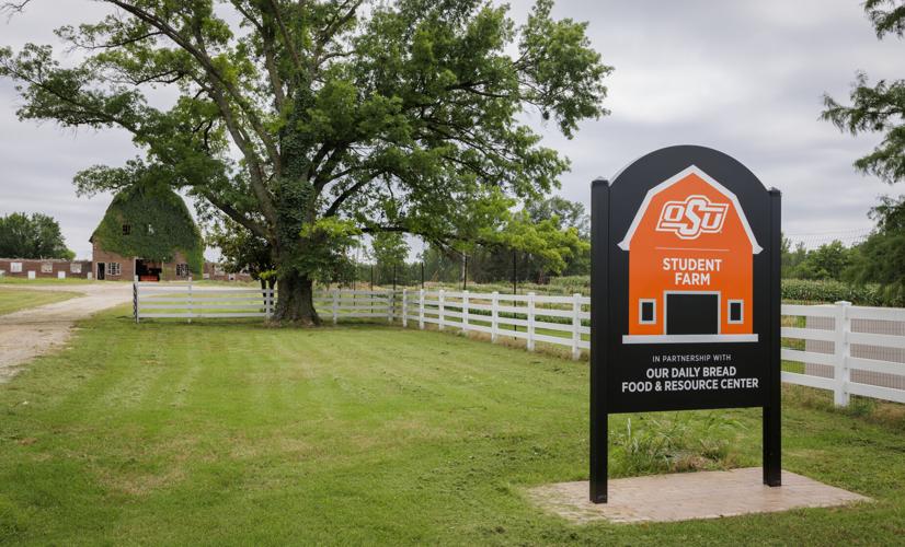 OSU Student Farm giving back | News | farmtalknews.com