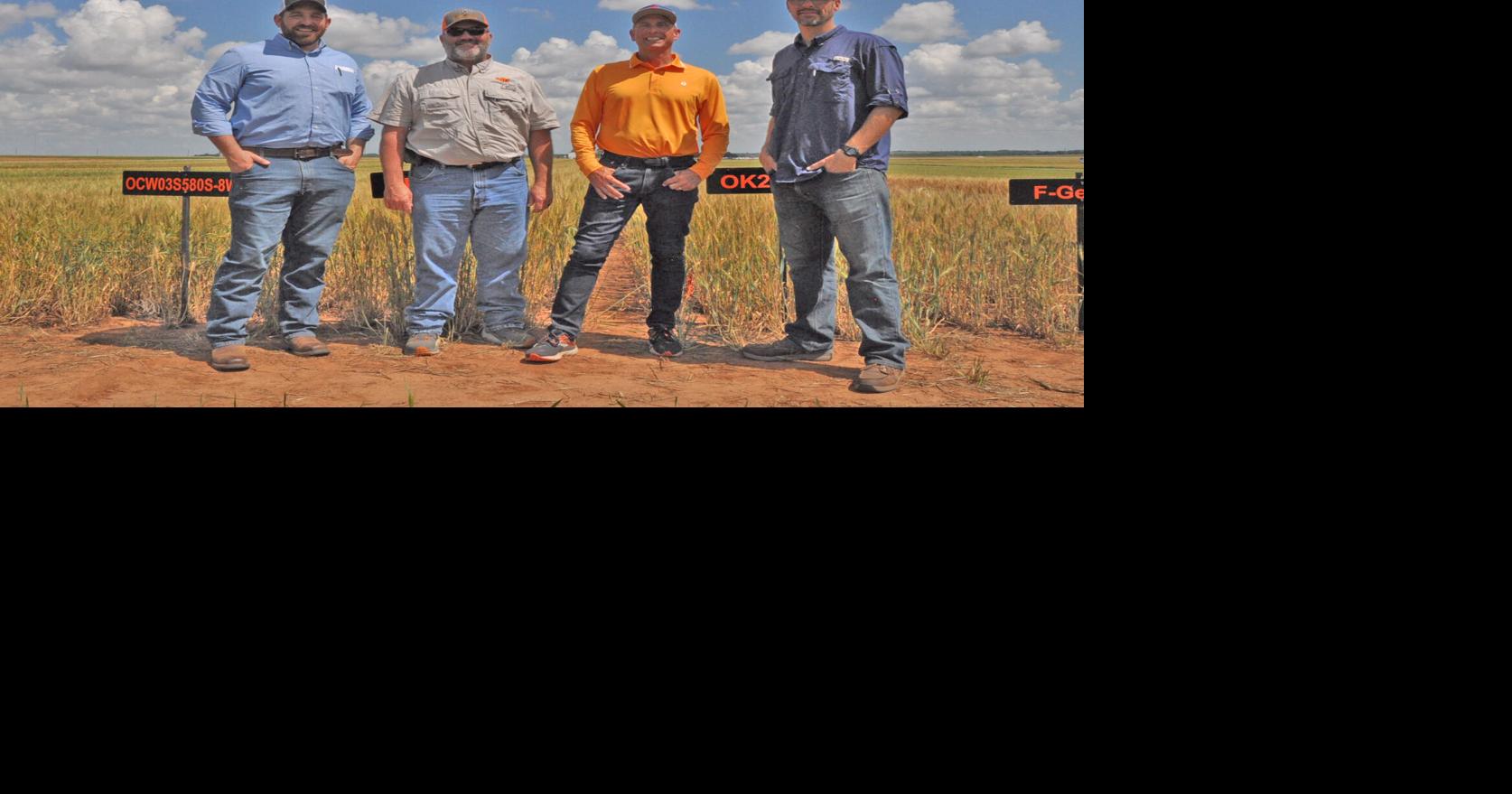 Wheat genetic advances bring new options for growers | News ...