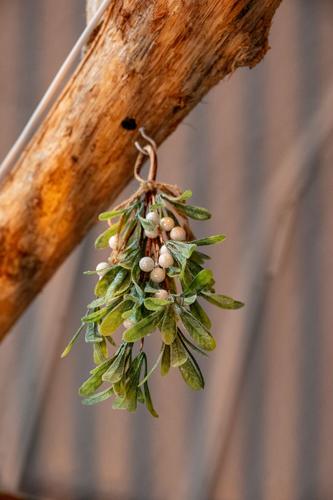 Trees and traditions | News | farmtalknews.com