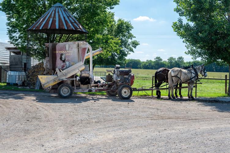Stutzman Dairy | News | farmtalknews.com