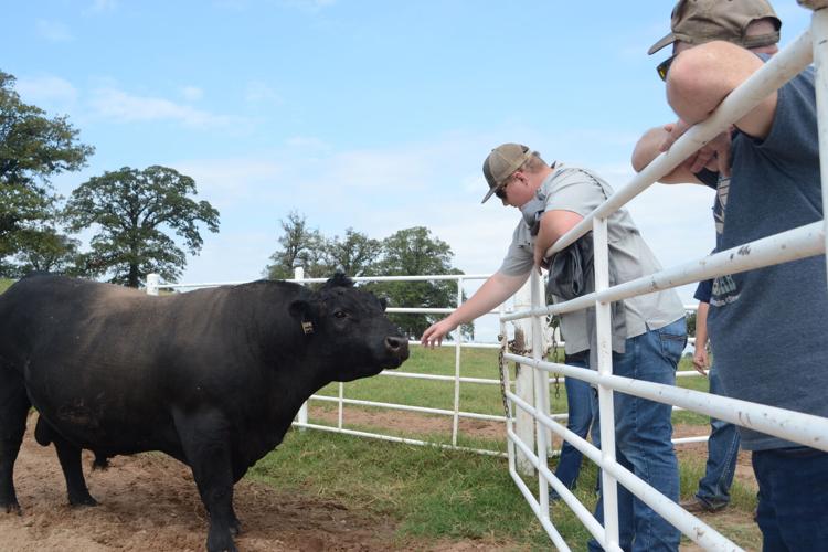 Southwest Missouri Cattlemen tour Oklahoma ranch operations part two ...