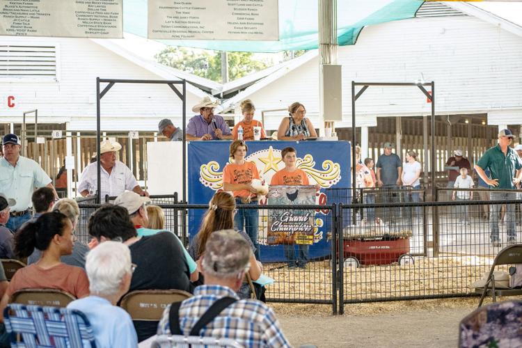 Inter-State Fair and Rodeo FFA & 4-H livestock auction highlights ...