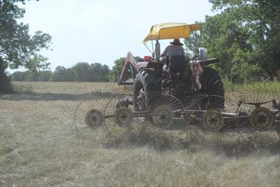 Kansas professionals talk forage, feeding options with limited hay ...