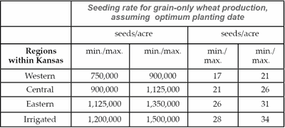 Management adjustments when sowing wheat late | News | farmtalknews.com