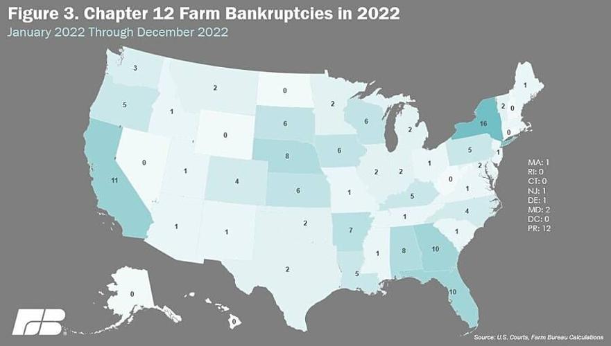 Farm bankruptcies fall again in 2022 | News | farmtalknews.com
