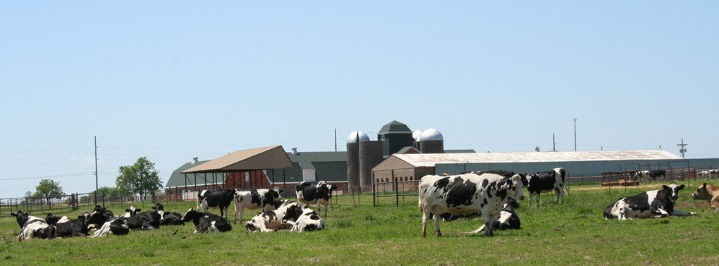 OSU dairy continuing their mission | Archives | farmtalknews.com