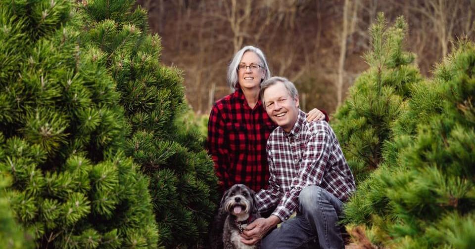 Delaware Town Tree Farm provides an evergreen experience for ...