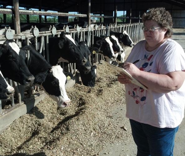 Fort Scott dairy leader optimistic about future | News | farmtalknews.com