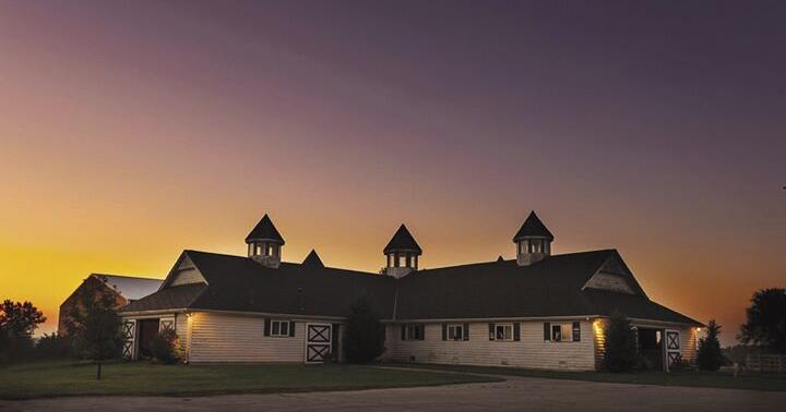 Springfield trainer uses horses to teach life lessons | News ...