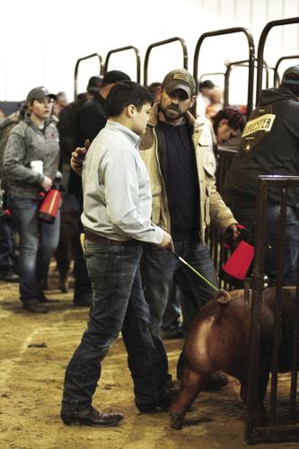 Oklahoma organization changes lives with livestock show projects | News ...