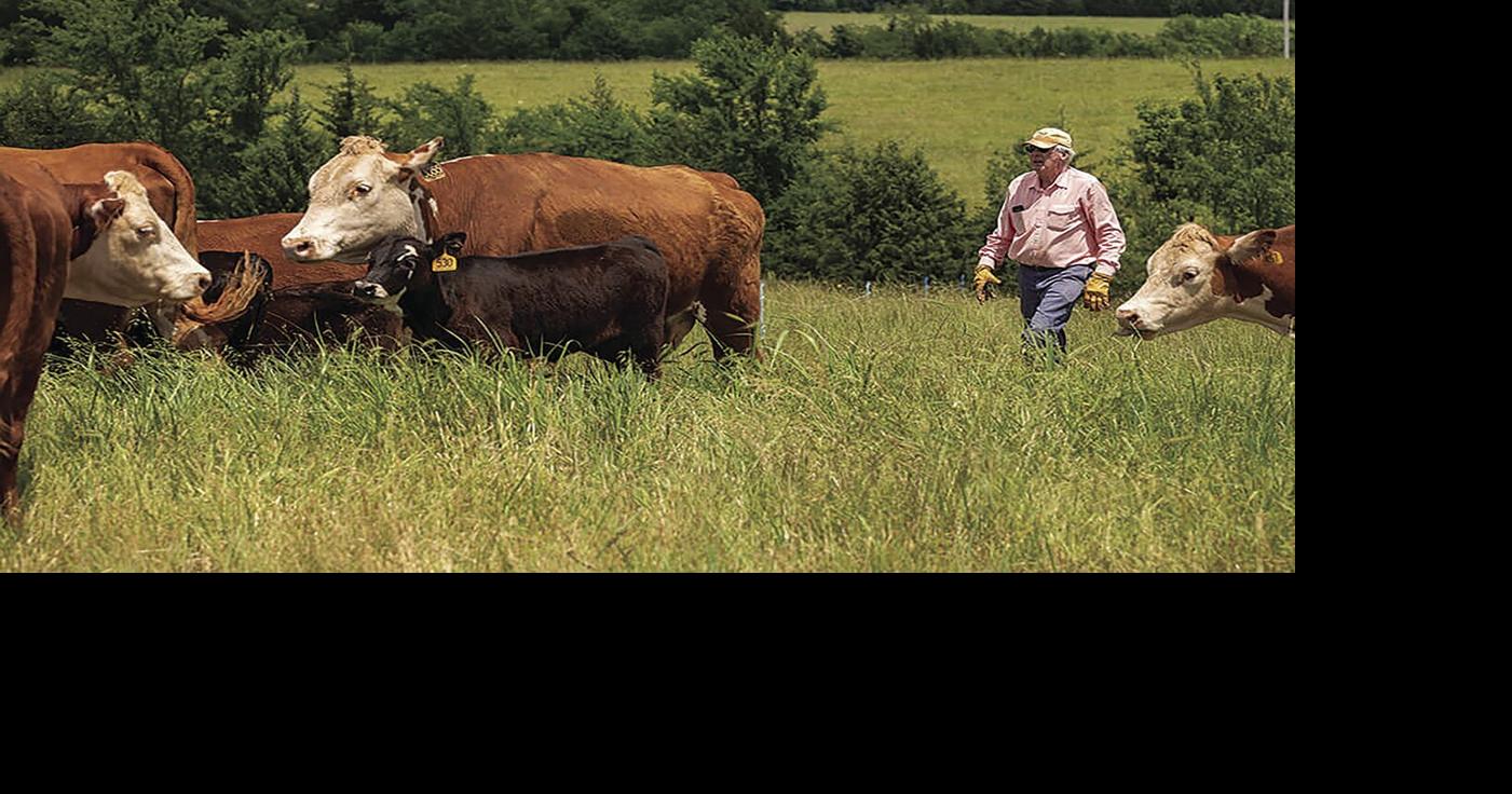 The art of stockmanship | News | farmtalknews.com