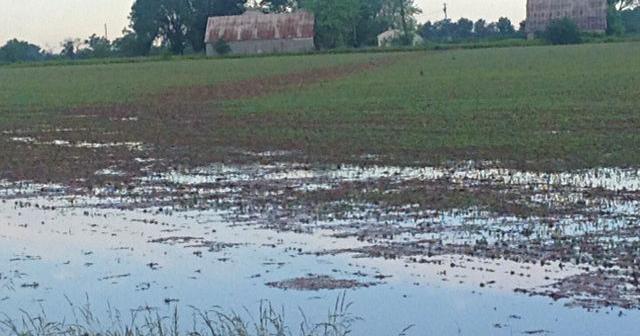 Federal disaster assistance available in southern Missouri | News ...