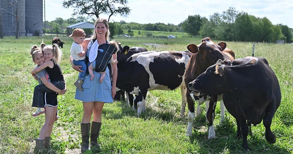 A raw milk revival: How rising demand is met by one family farm | News ...