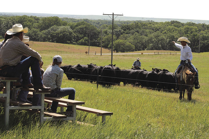 Dalebanks Angus Ranch gathering builds community in the beef industry ...