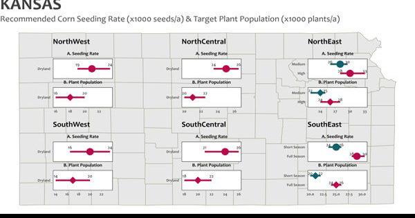 Optimal corn seeding rate recommendations | News | farmtalknews.com