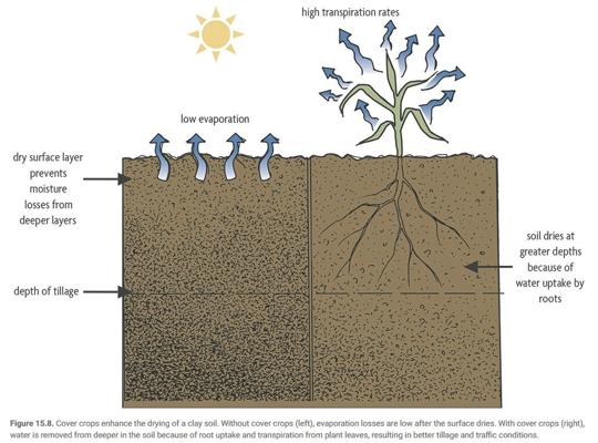Plowpans and claypan soils | News | farmtalknews.com