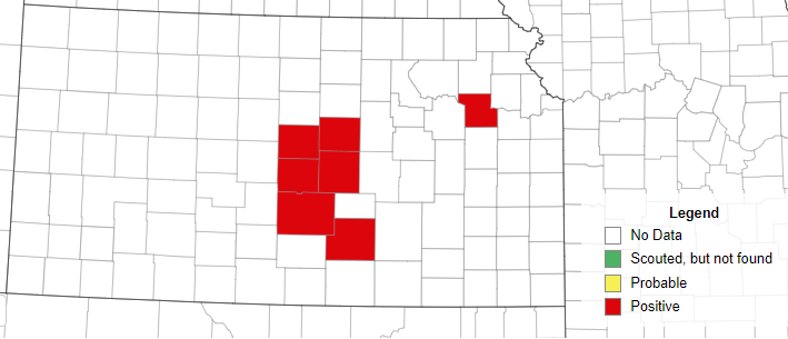 Southern rust is now active in central and eastern Kansas | News ...