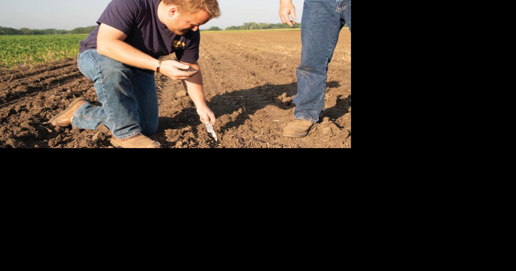 Melvern farmer Adam Phelon pursues profitability, community enhancement ...