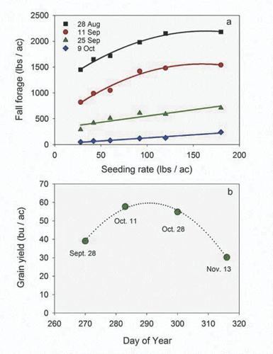 Planting wheat too early can lead to problems | News | farmtalknews.com