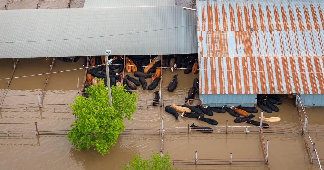 Flooding devastation hits Fort Scott Livestock Market | News ...