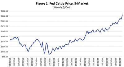 Fed prices leading cattle markets to record levels | News ...