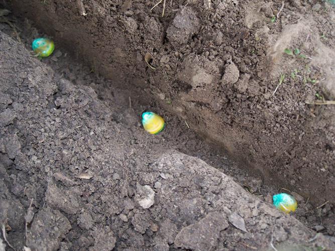 Crop questions answered with Doug Shoup | News | farmtalknews.com