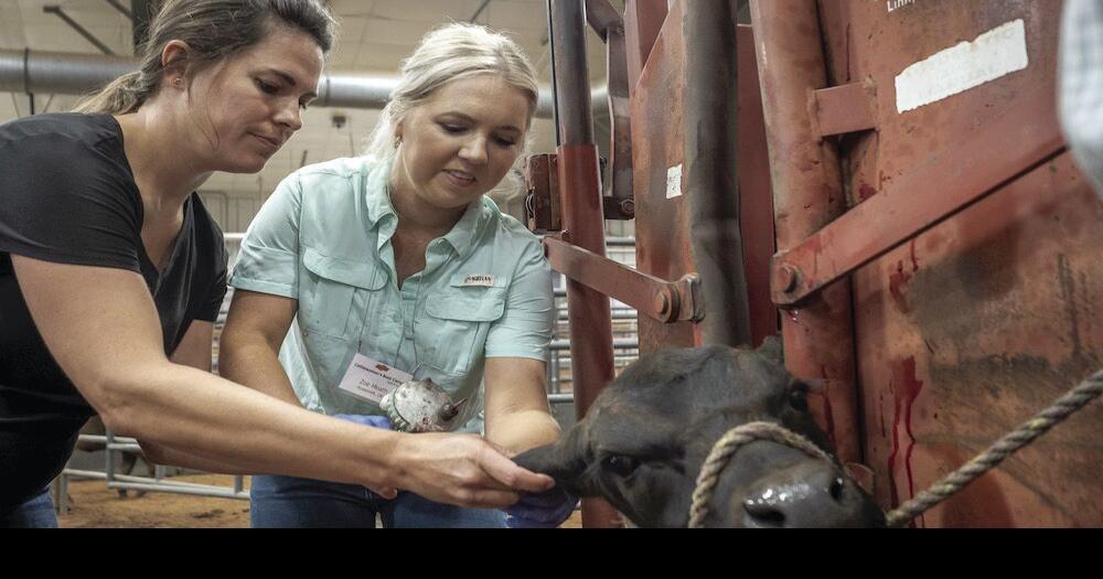 Women-only cattle camp empowers female ranchers | News | farmtalknews.com