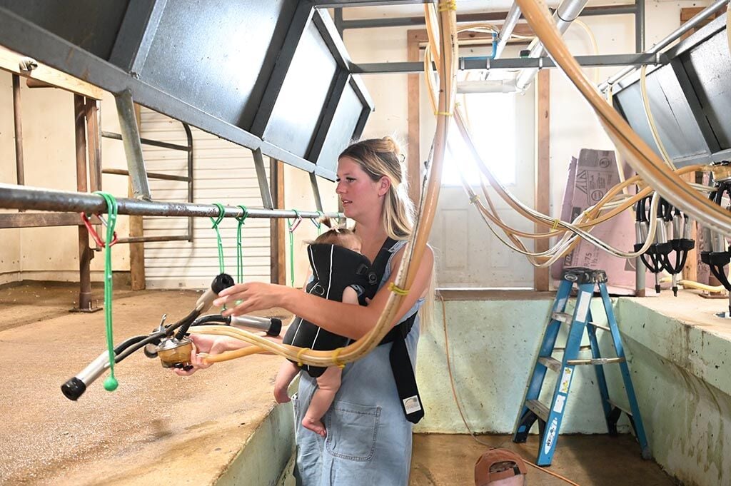 A raw milk revival: How rising demand is met by one family farm | News ...