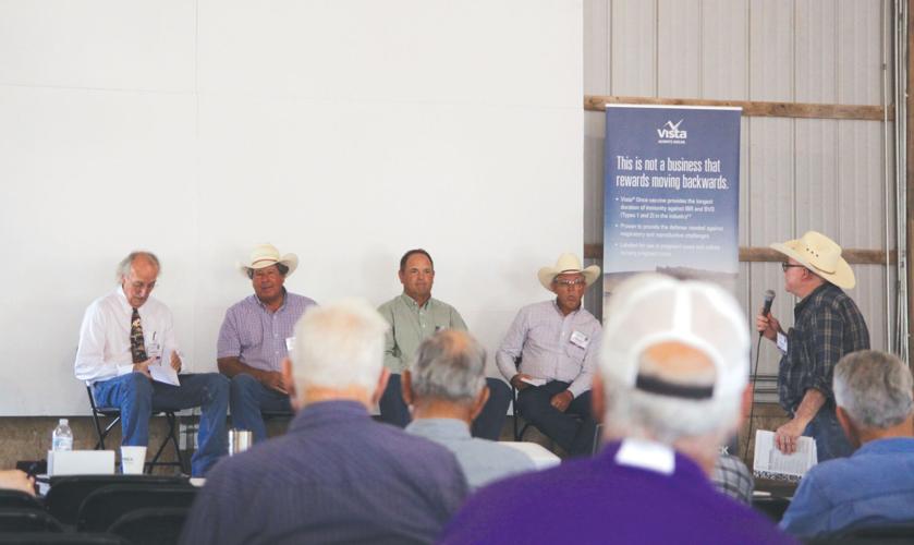 Beef stocker field day blends new technology, traditional feeding ...