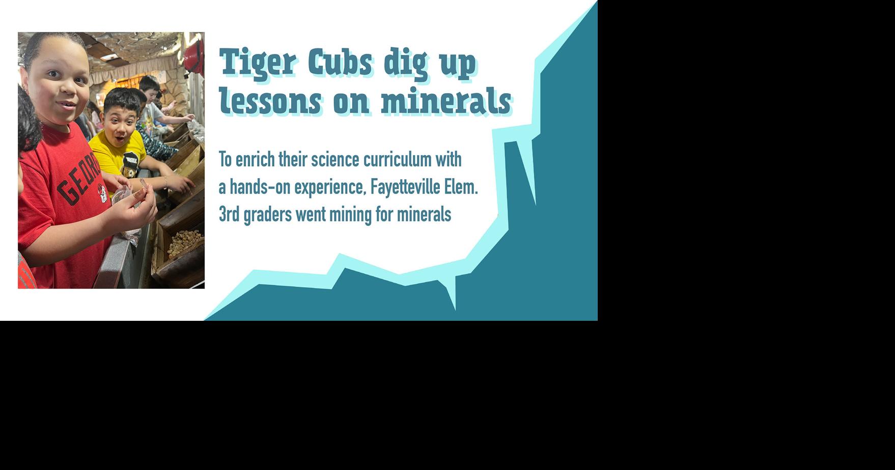 Tiger Cubs Dig Up Lessons on Minerals | Lifestyles | fayette-news.net