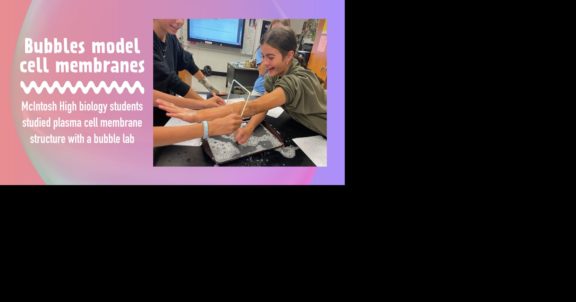 Bubbles Model Cell Membranes | School | fayette-news.net