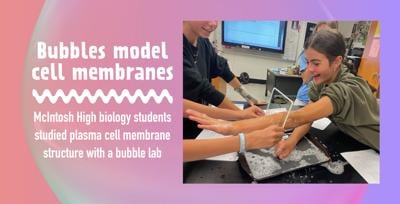 Bubbles Model Cell Membranes | School | fayette-news.net