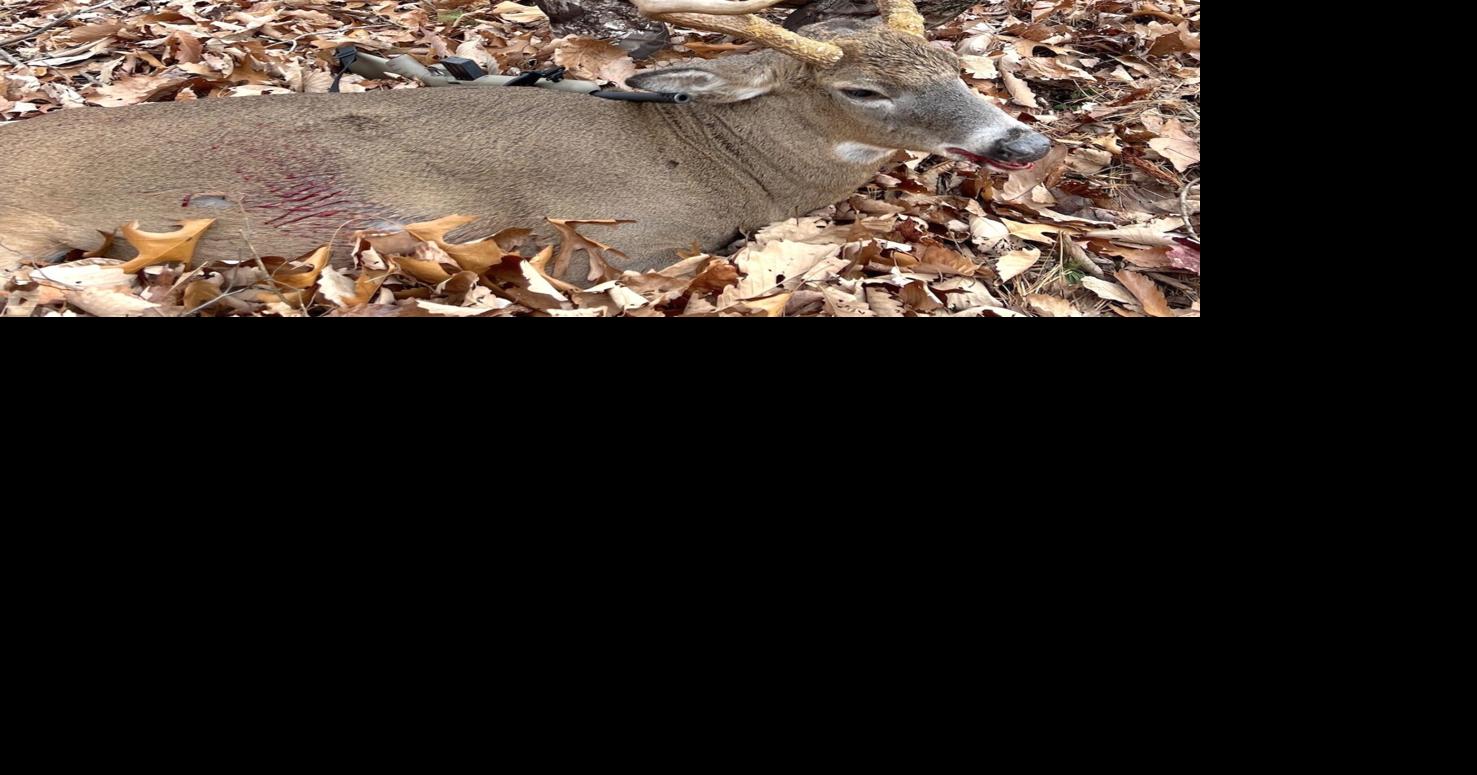 Big Buck Contest Photo winners revealed | Sports | fayettetribune.com