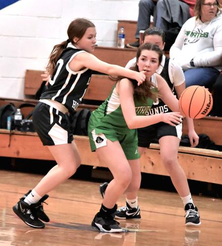 Red Devils rule Fayette middle school tournament | Sports ...