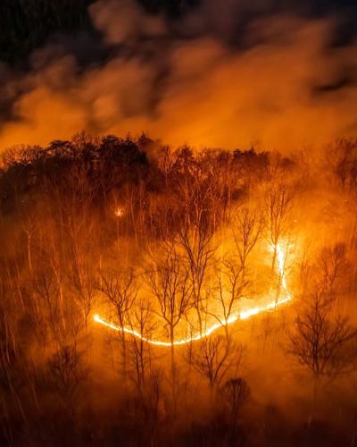 State Division of Forestry concludes another busy fire season | News ...