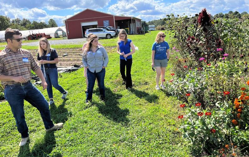 New Roots Farm Market up and running | News | fayettetribune.com
